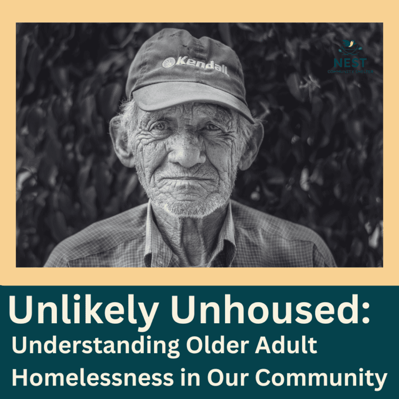 Unlikely Unhoused: Understanding Older Adult Homelessness in Our Community. - Blog - Nest ...